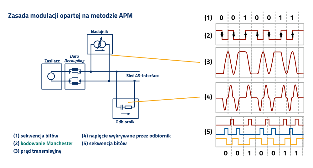 Podstawy AS-Interface – część 2 – AS-Interface